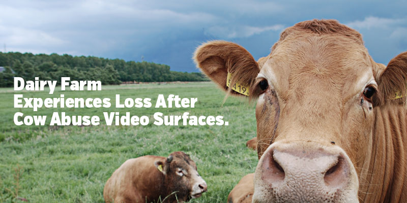 Learning From Farm Accidents – Excalibur Insurance